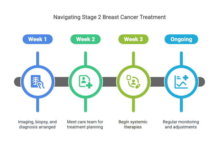 Stage 2 Breast Cancer Treatment Timeline - Onco Life Centre | Cancer ...